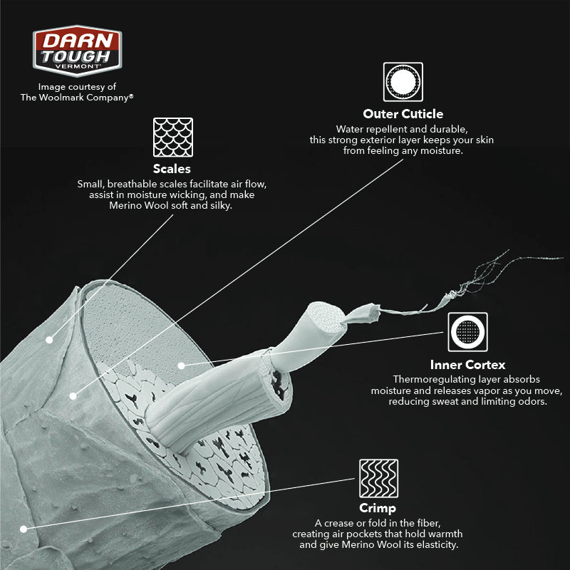 The Science of Merino Wool Fibers – Darn Tough