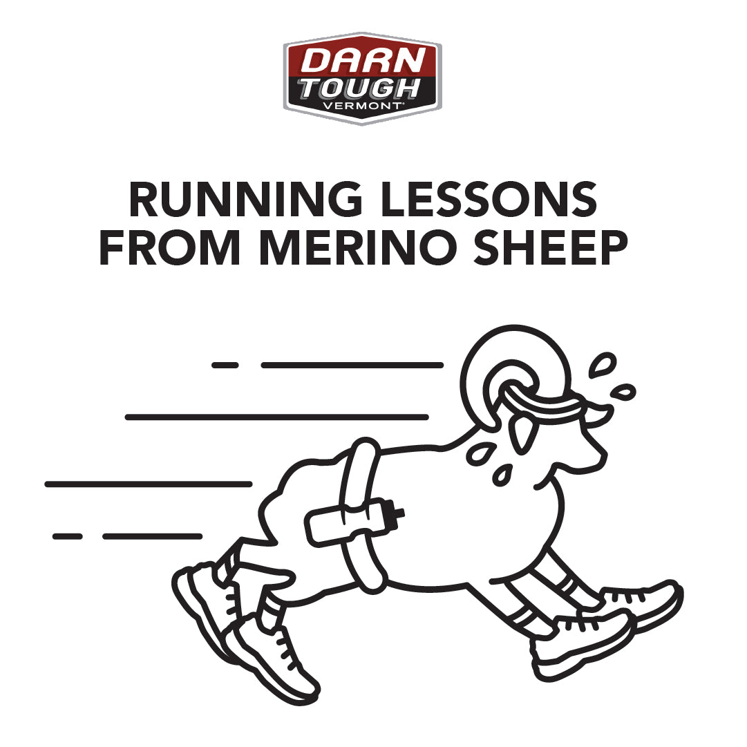 Running Lessons from Merino Sheep – Darn Tough